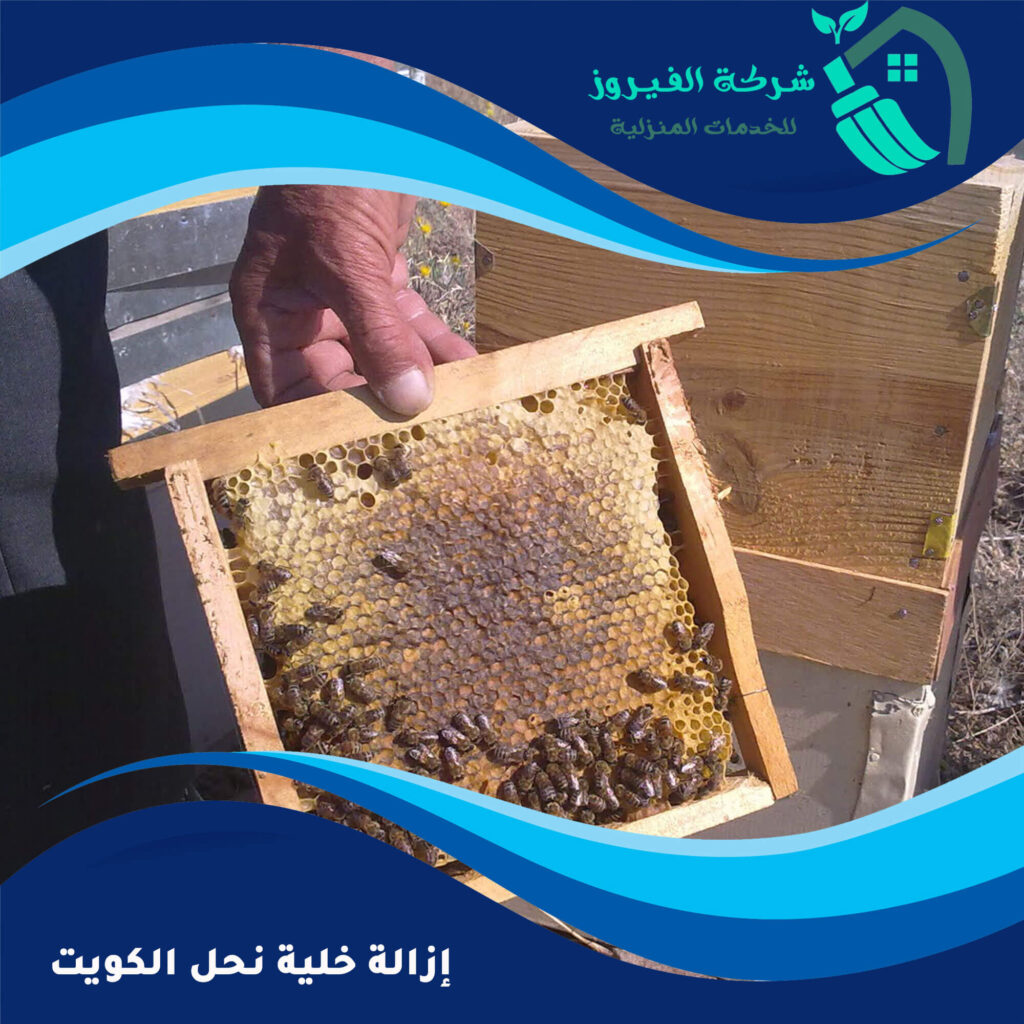 إزالة خلية نحل الكويت - 69070400 اتصل الآن | شركة الفيروز